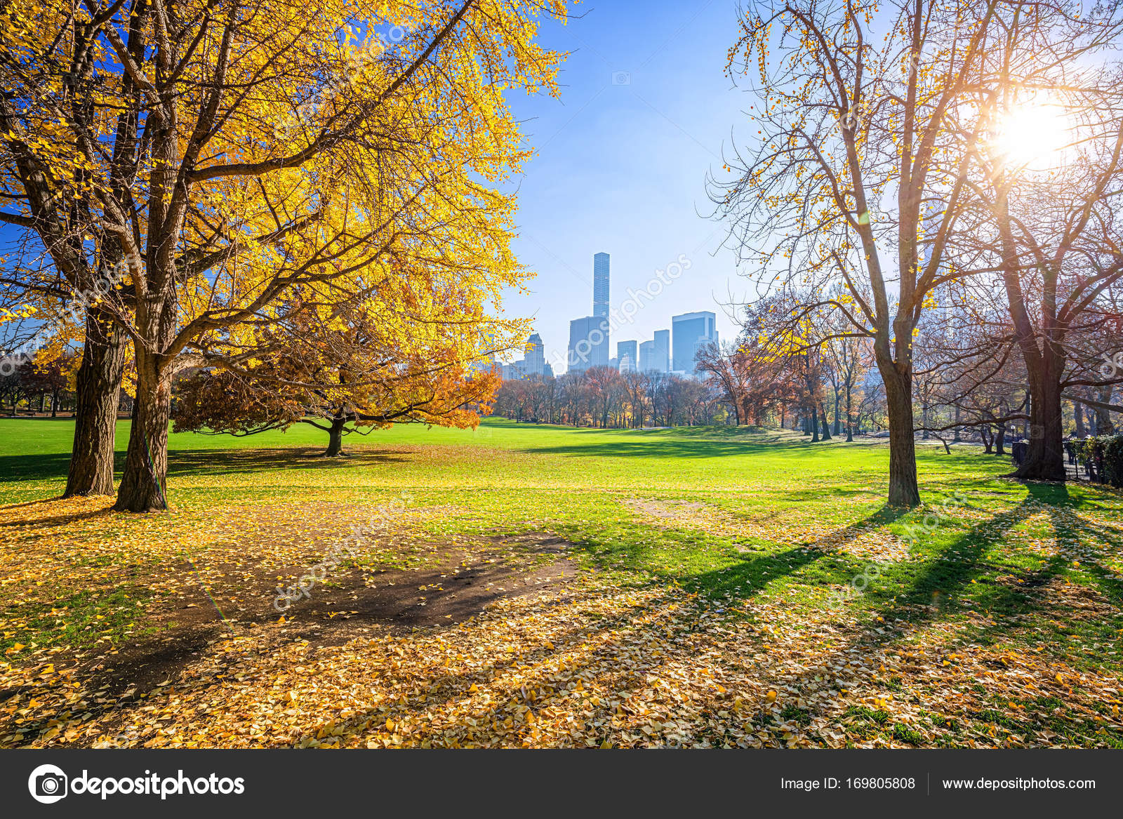 Sunny Day In The Park