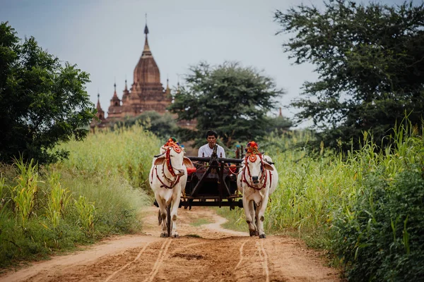 Front carriage Stock Photos, Royalty Free Front carriage Images ...