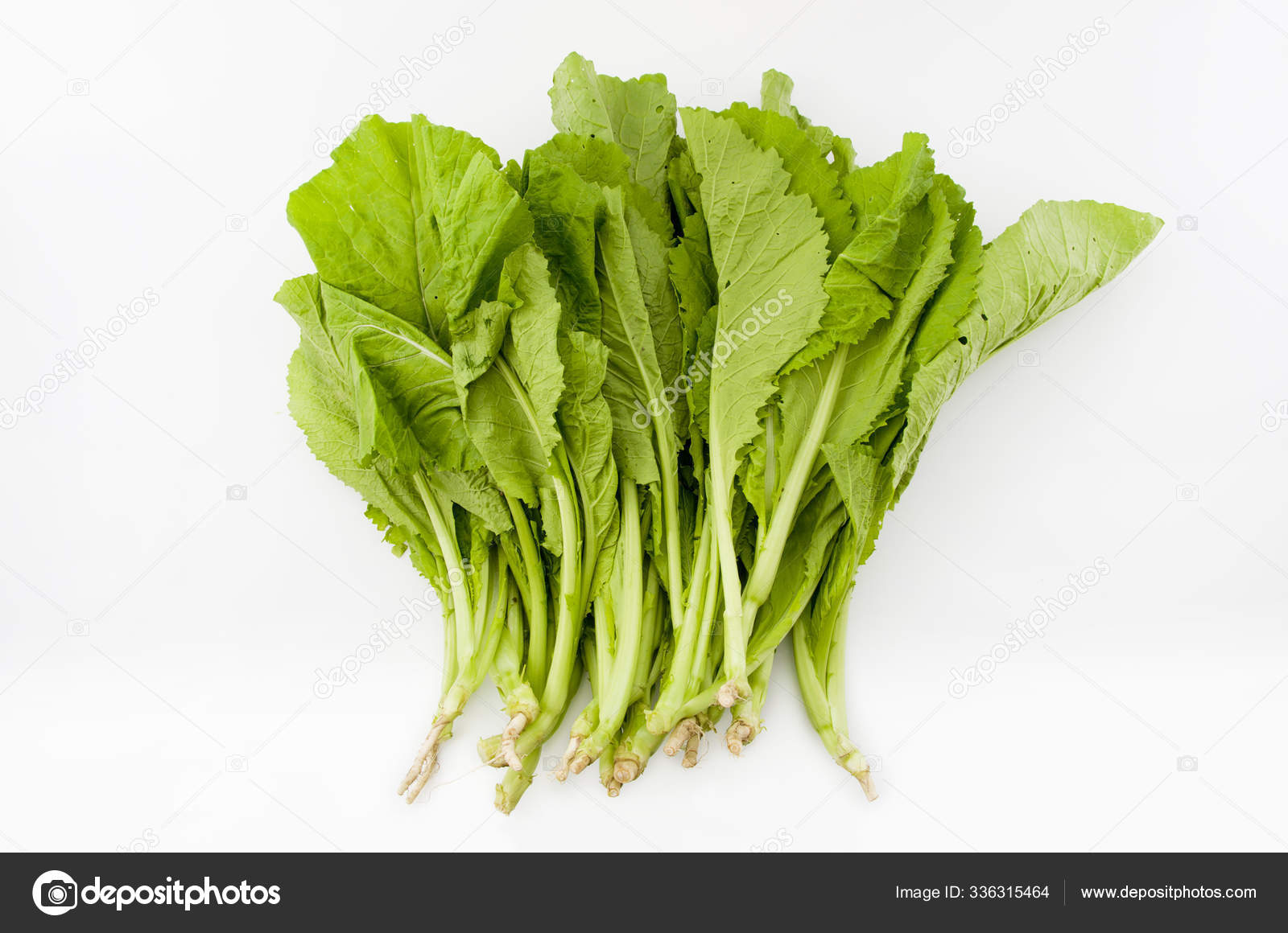 Chinese Mustard Greens