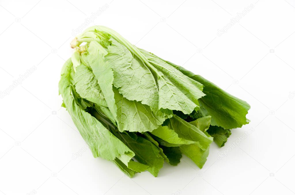 verde mostaza fresca fondo blanco 2024