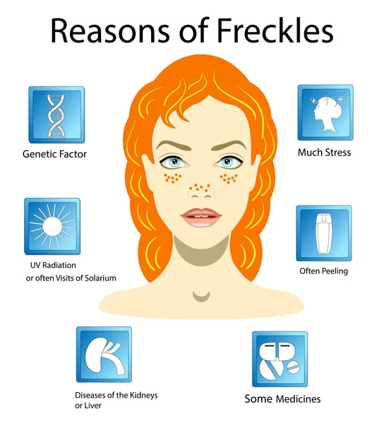 Different type of acne. Vector Illustration with skin problems. Stock ...