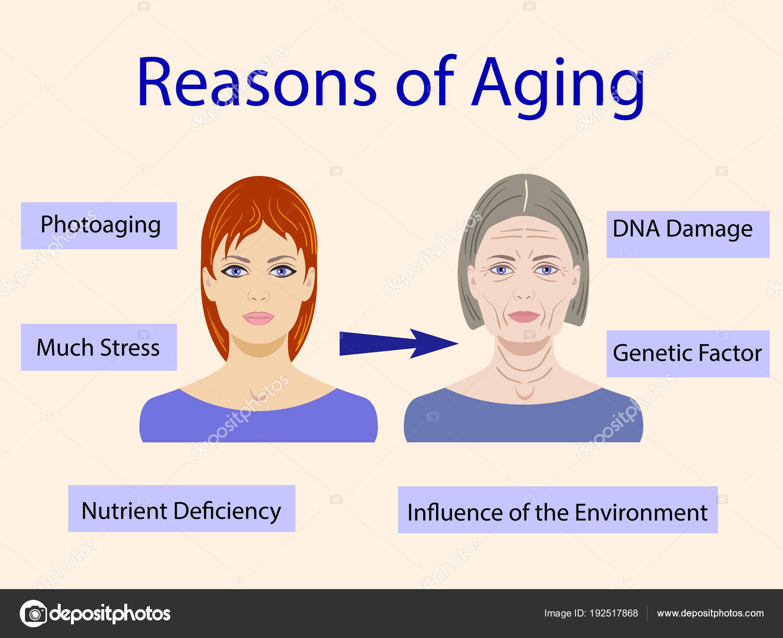 Causes of aging, vector illustration with two faces isolated Stock ...