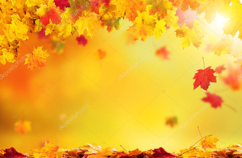 Autumn abstract background with falling leaves — Stock Photo © jag_cz ...