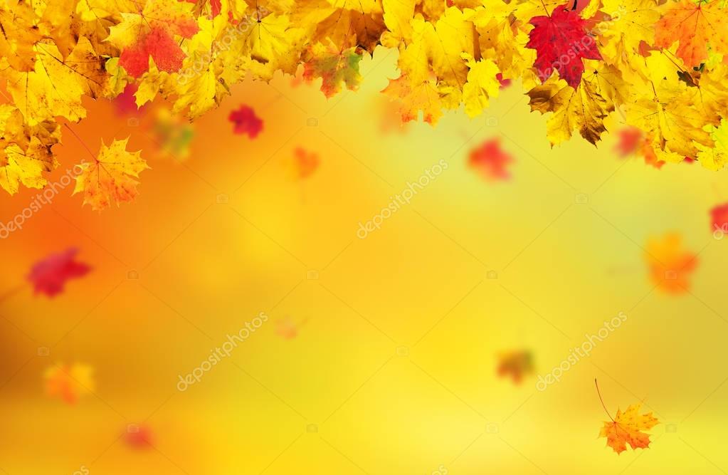 Autumn abstract background with falling leaves ⬇ Stock Photo, Image by ...