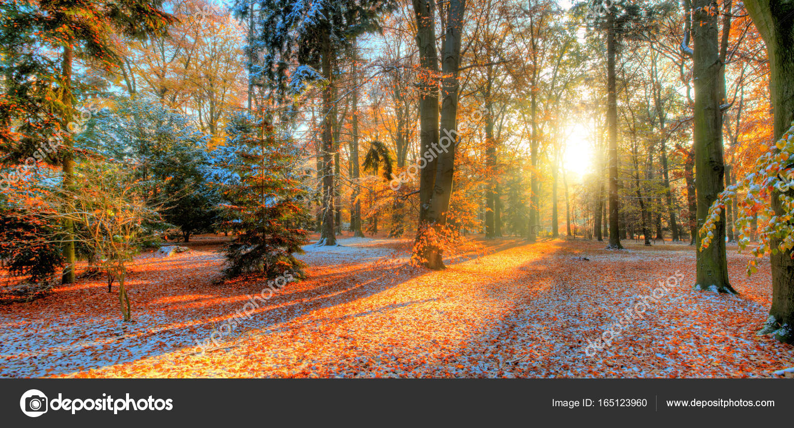 Beautiful colored trees in autumn, landscape photography — Stock Photo ...