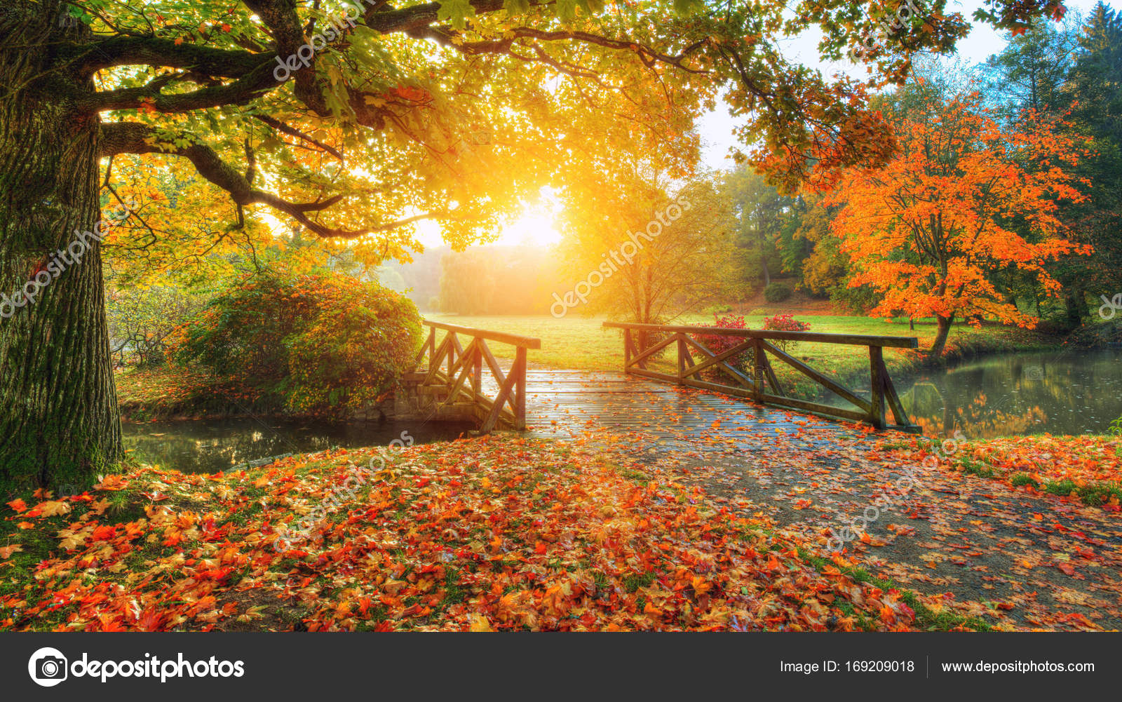 Beautiful Photography Of Fall