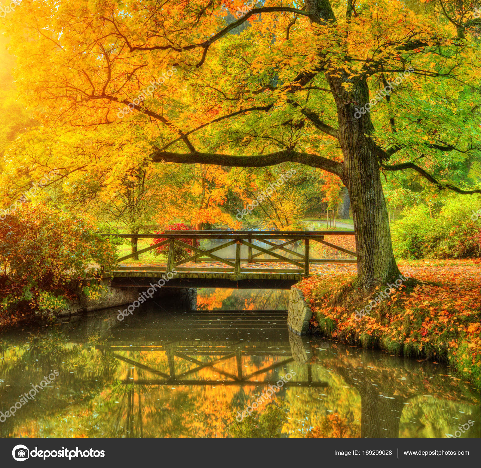 Beautiful autumn scenery in park. Stock Photo by ©jag_cz 169209028