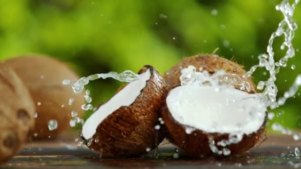 35,161 Coconut Videos, Royalty-free Stock Coconut Footage | Depositphotos