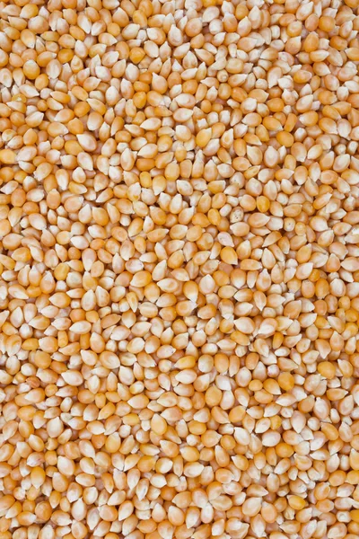 Popcorn Kernels Background Stock Photo by ©karenr 124203638