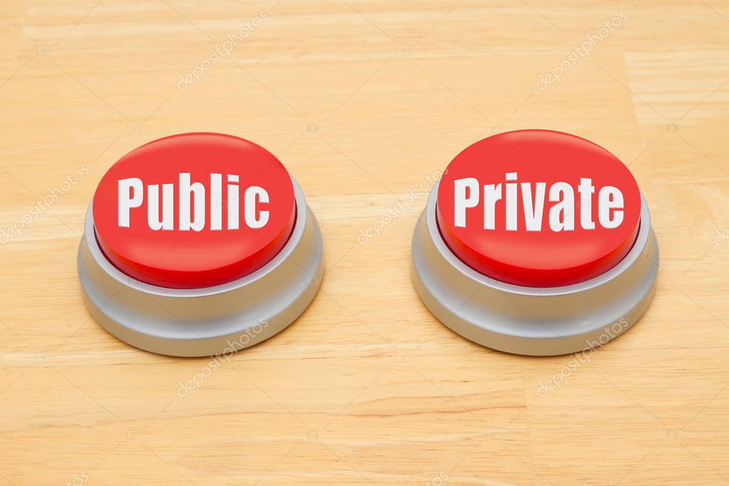 La diferencia entre lo p blico y lo privado 2024