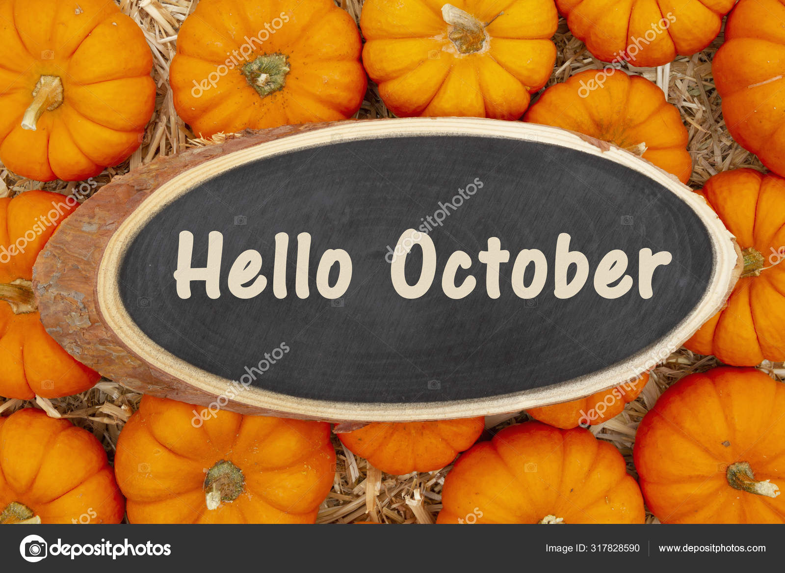 Hello October Pumpkins