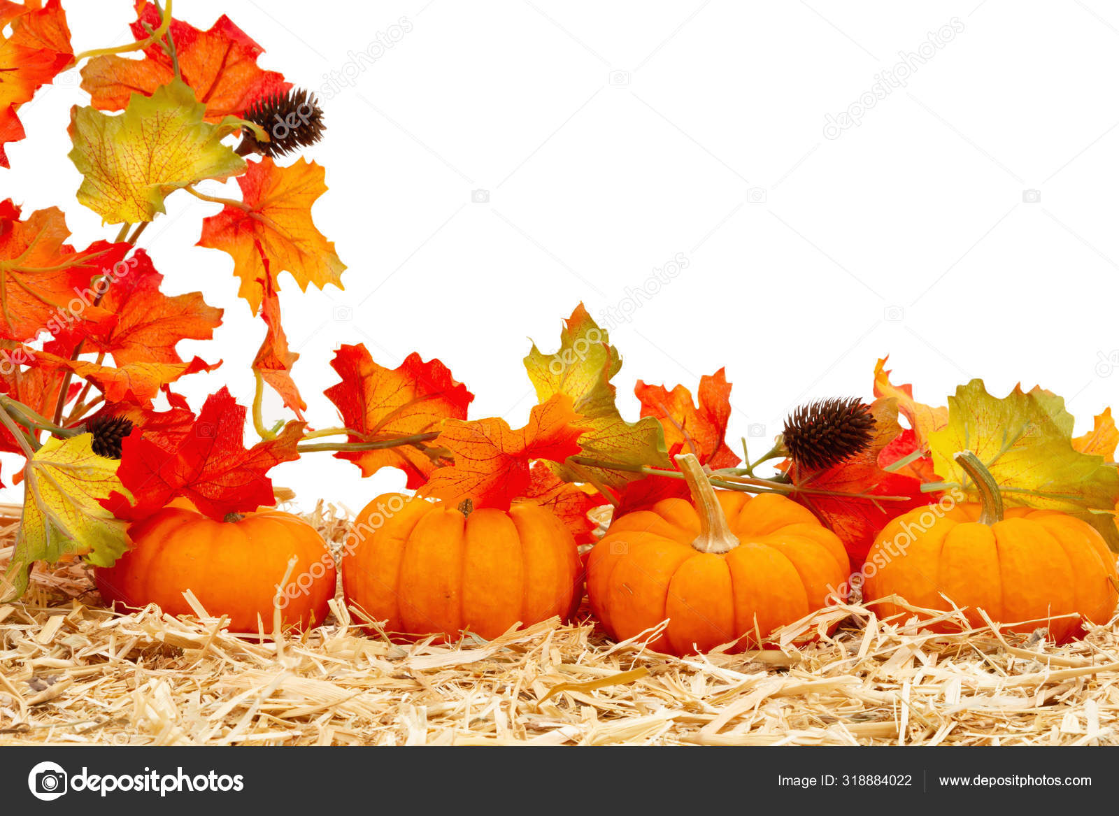 Fall Leaf And Pumpkin Border