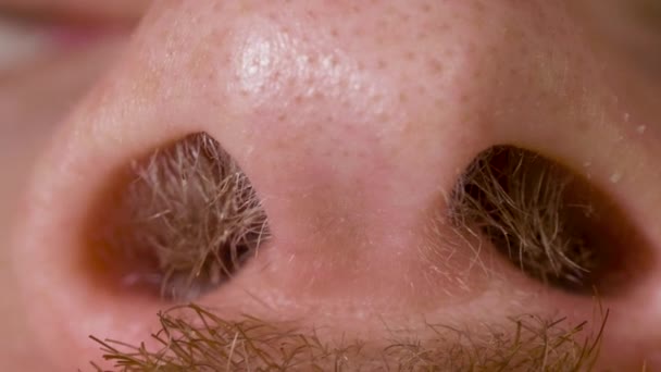 Hairy nostrils and nose of caucasian man close up in macro — Stock ...