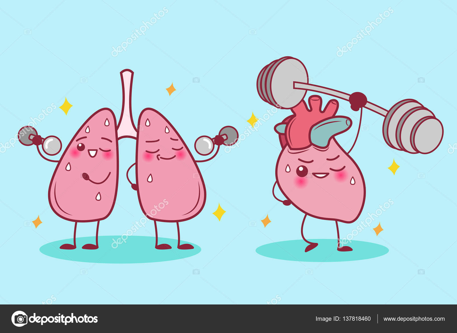deporte de corazón y pulmón — Vector de stock © estherqueen999 #137818460
