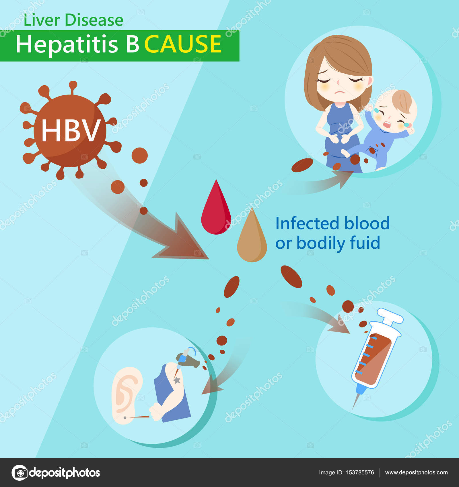 Hepatitis b cause Stock Vector Image by ©estherqueen999 #153785576