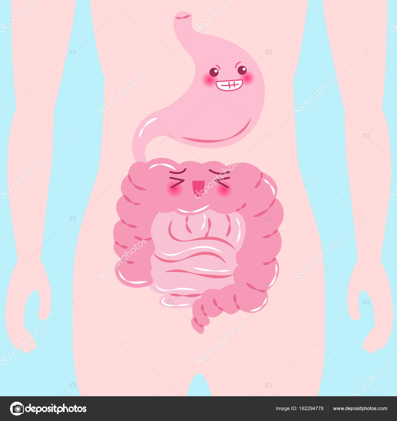 Inside Stomach Cartoon