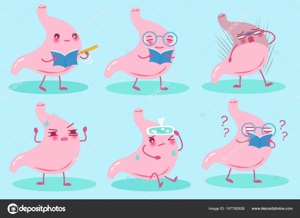 Cute cartoon stomach Stock Vector Image by ©estherqueen999 #167780938