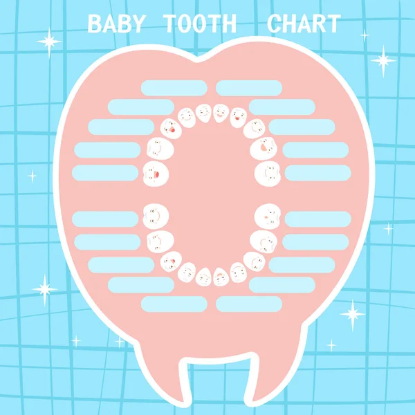100,000 Baby teeth chart Vector Images | Depositphotos
