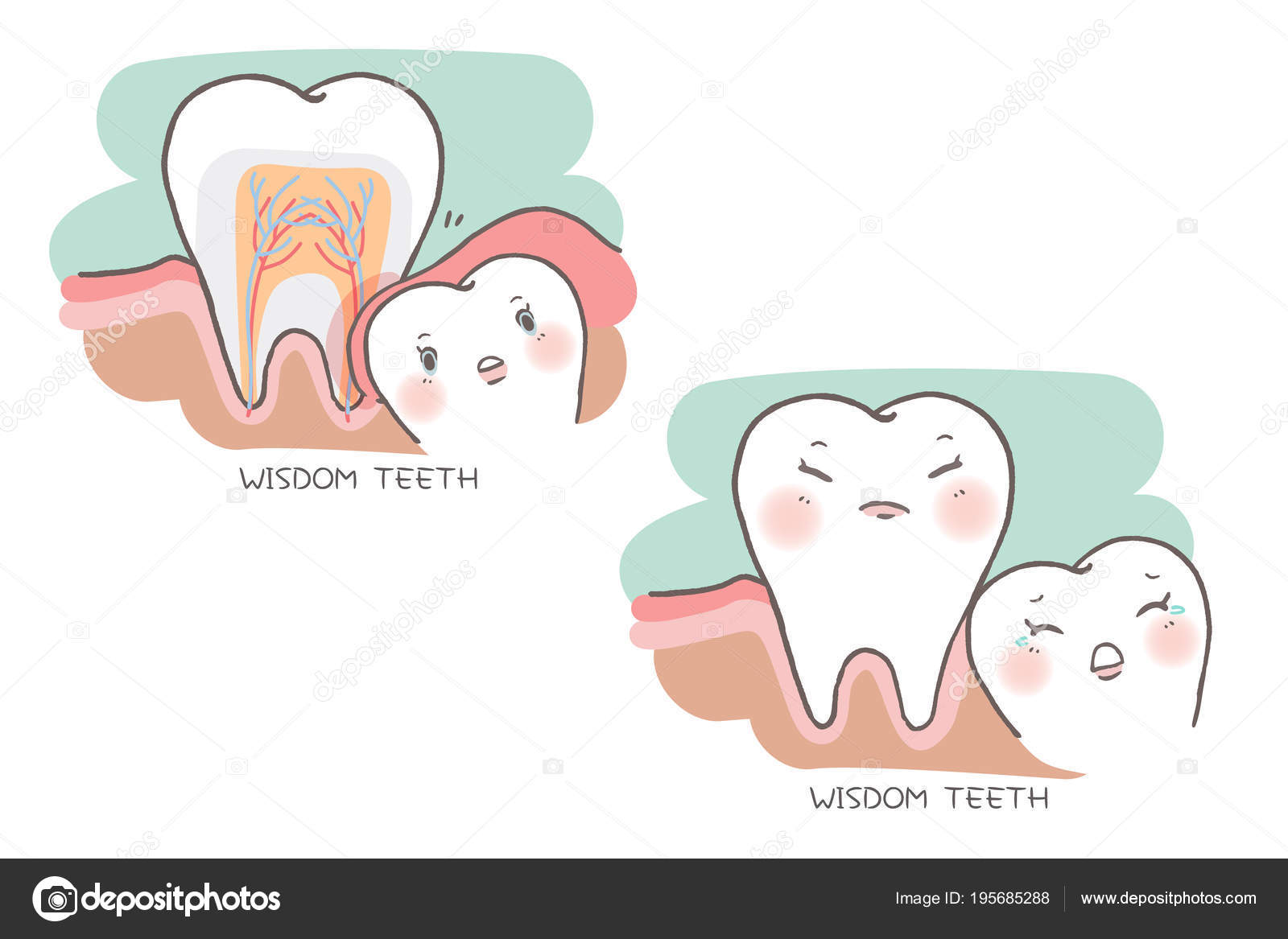 Wisdom Tooth Cartoon
