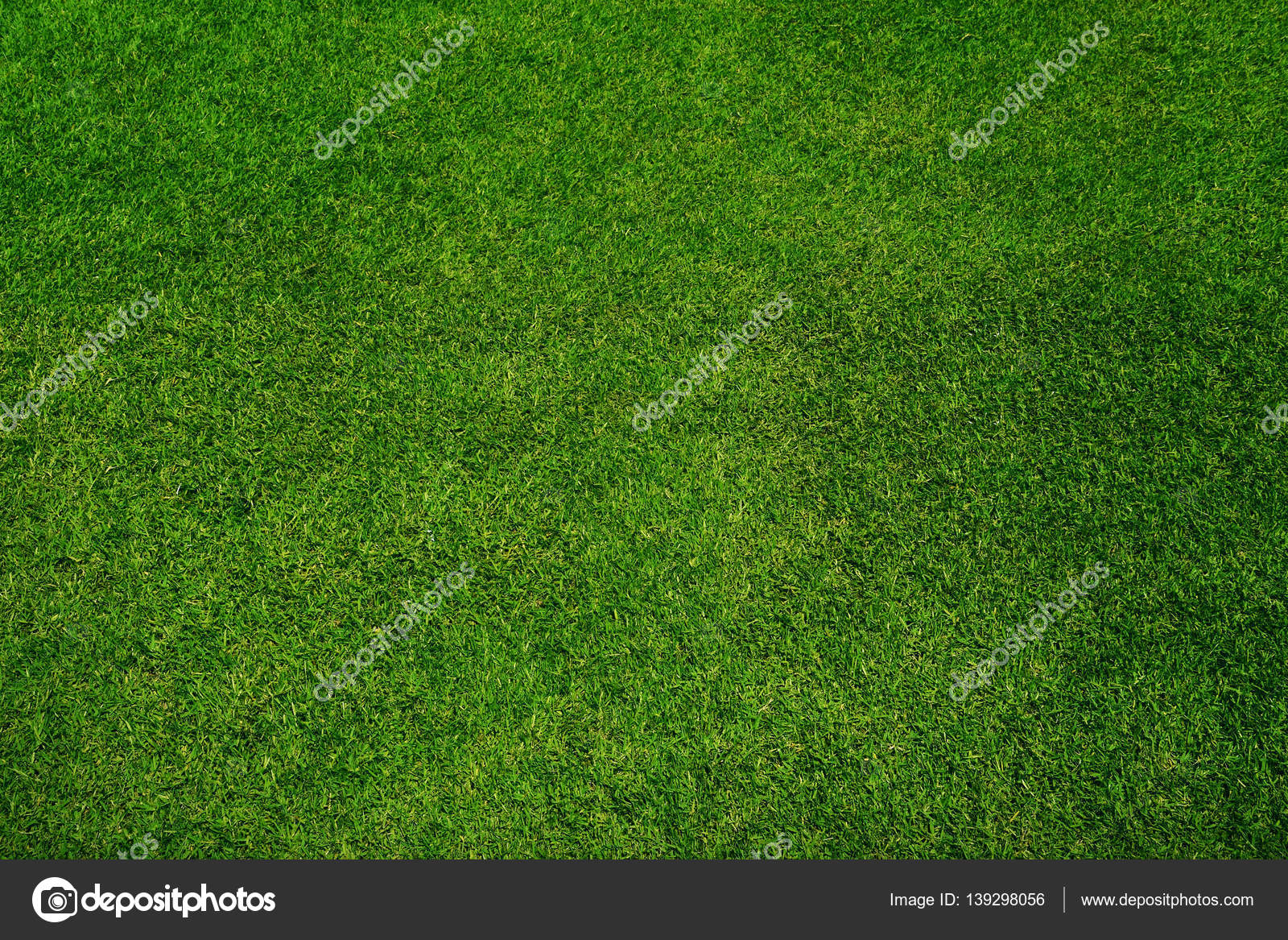 Green grass texture background, top view Stock Photo by ...