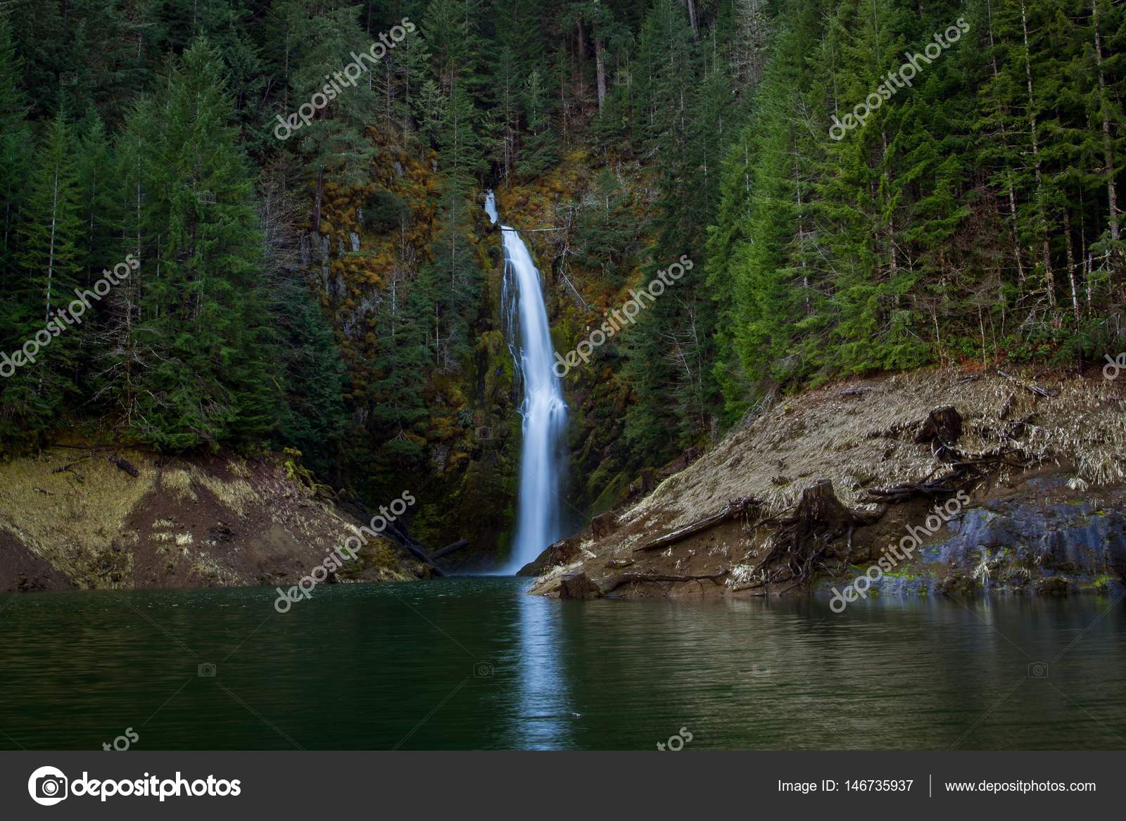 Waterfall in a forest flowing into a lake. — Stock Photo ...