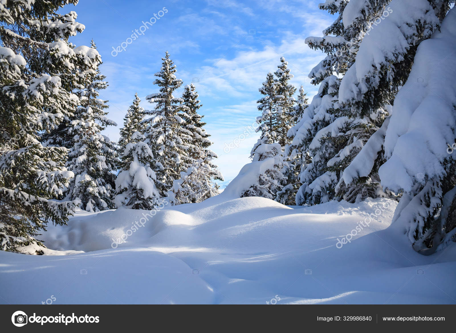 Wintry forest in the Alps — Stock Photo © val_th #329986840