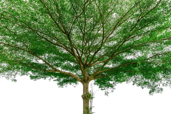 General assembly background hd pictures and wallpaper for pngtree Stock ...