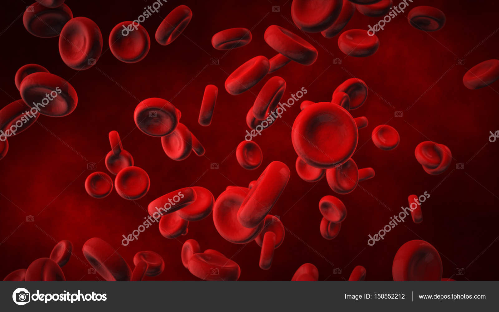 Vista bajo un microscopio, glóbulos rojos de la sangre en un cuerpo ...