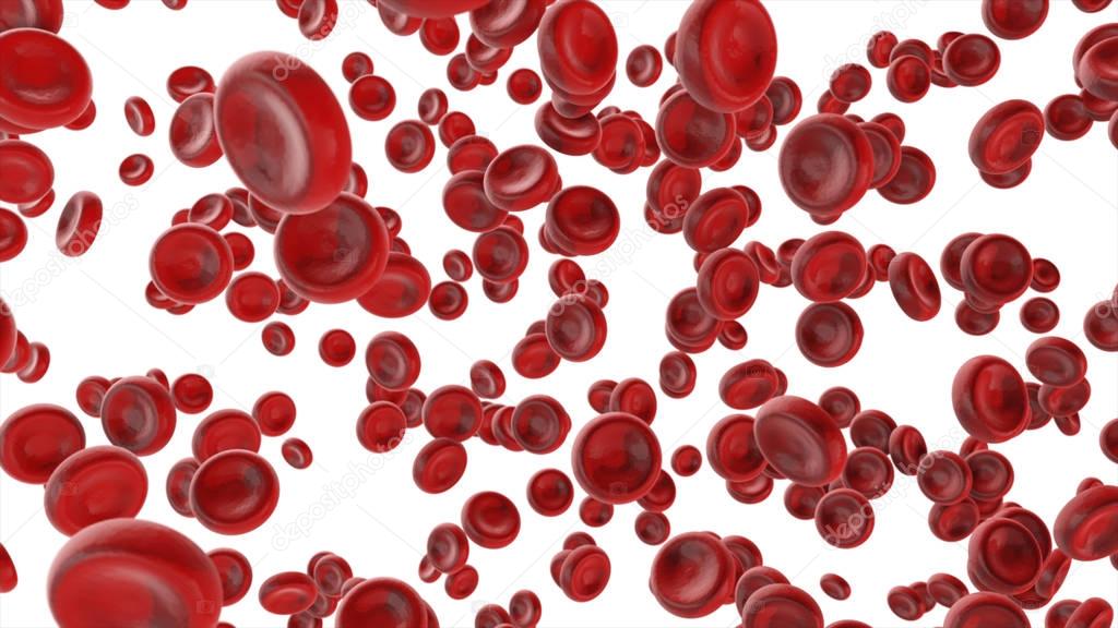 View under the microscope, blood-red blood cells isolated on white ...