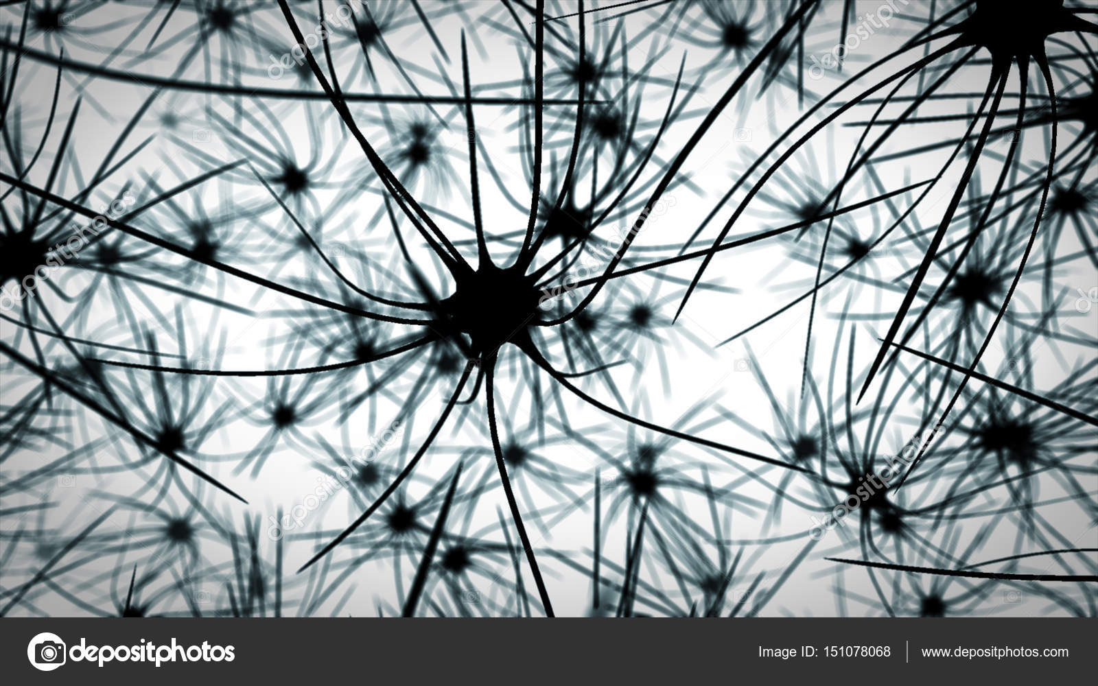 Black and white seamless biology or neuron cells pattern. Stock Photo ...