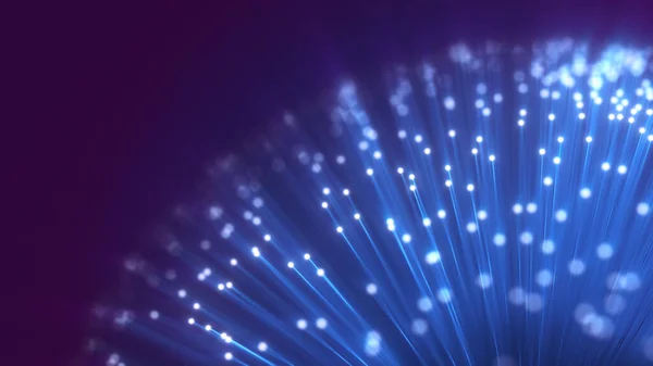 The dark fiber Stock Photos, Royalty Free The dark fiber Images ...