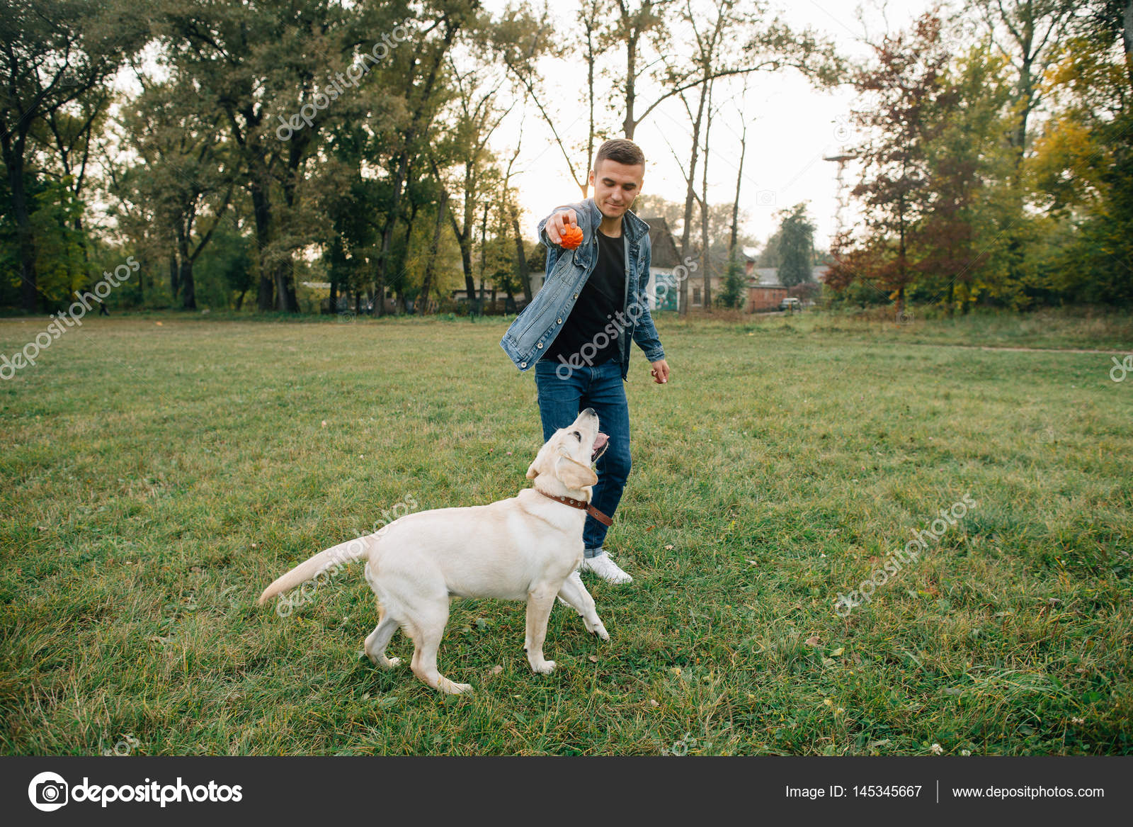 Person Throwing A Ball To Dog