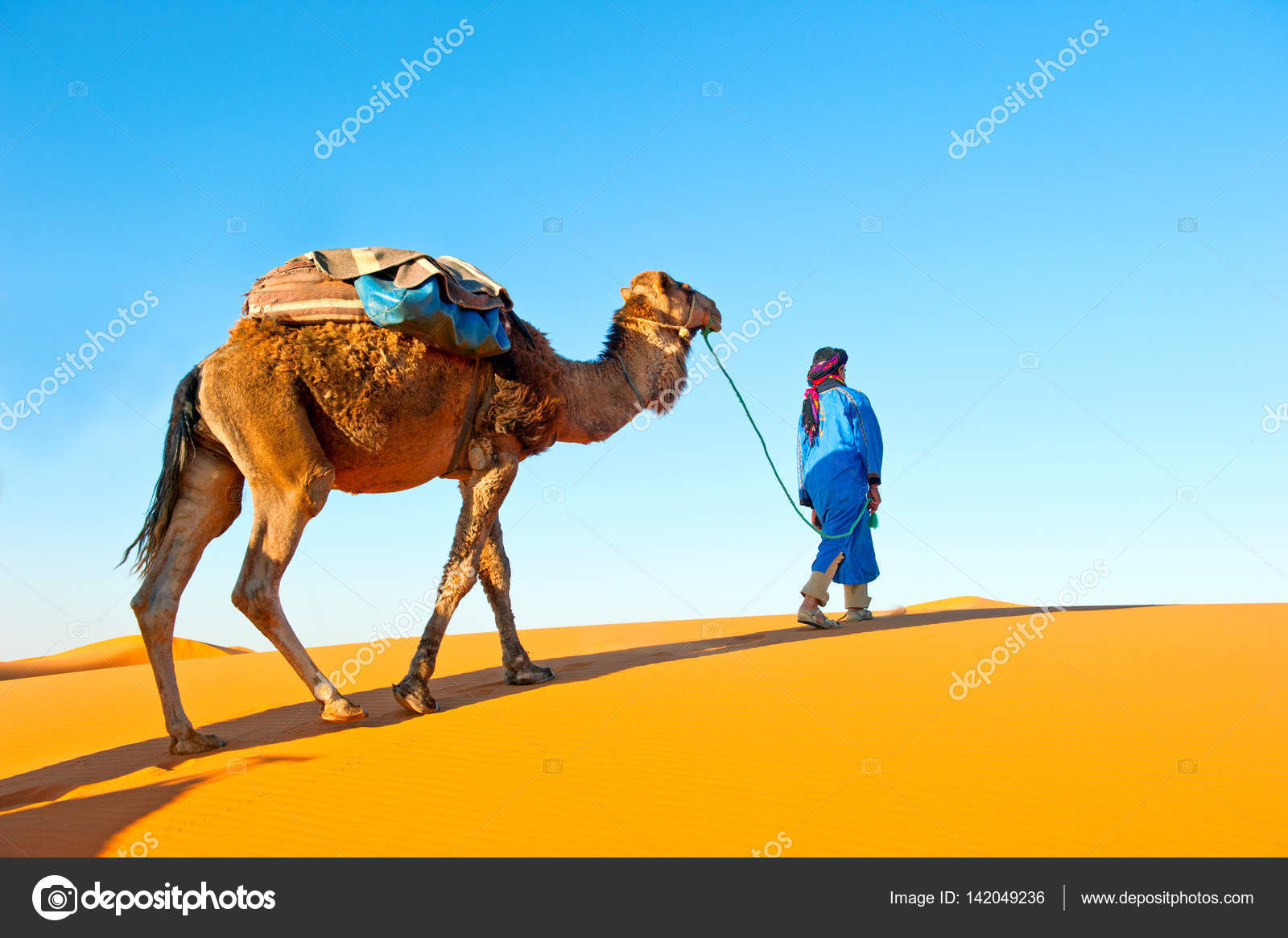 Camel caravan going through the sand dunes in the Sahara Desert. Morocco, Africa — Stock Photo ...