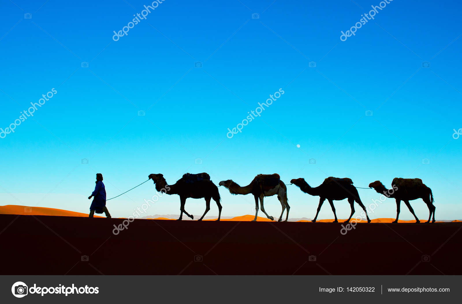 Camel caravan going through the sand dunes in the Sahara Desert. Morocco, Africa — Stock Photo ...