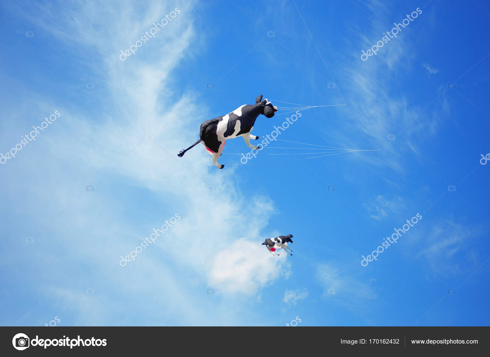 Vaca blanca negra en el cielo — Foto de stock #170162432 © Batechenkofff