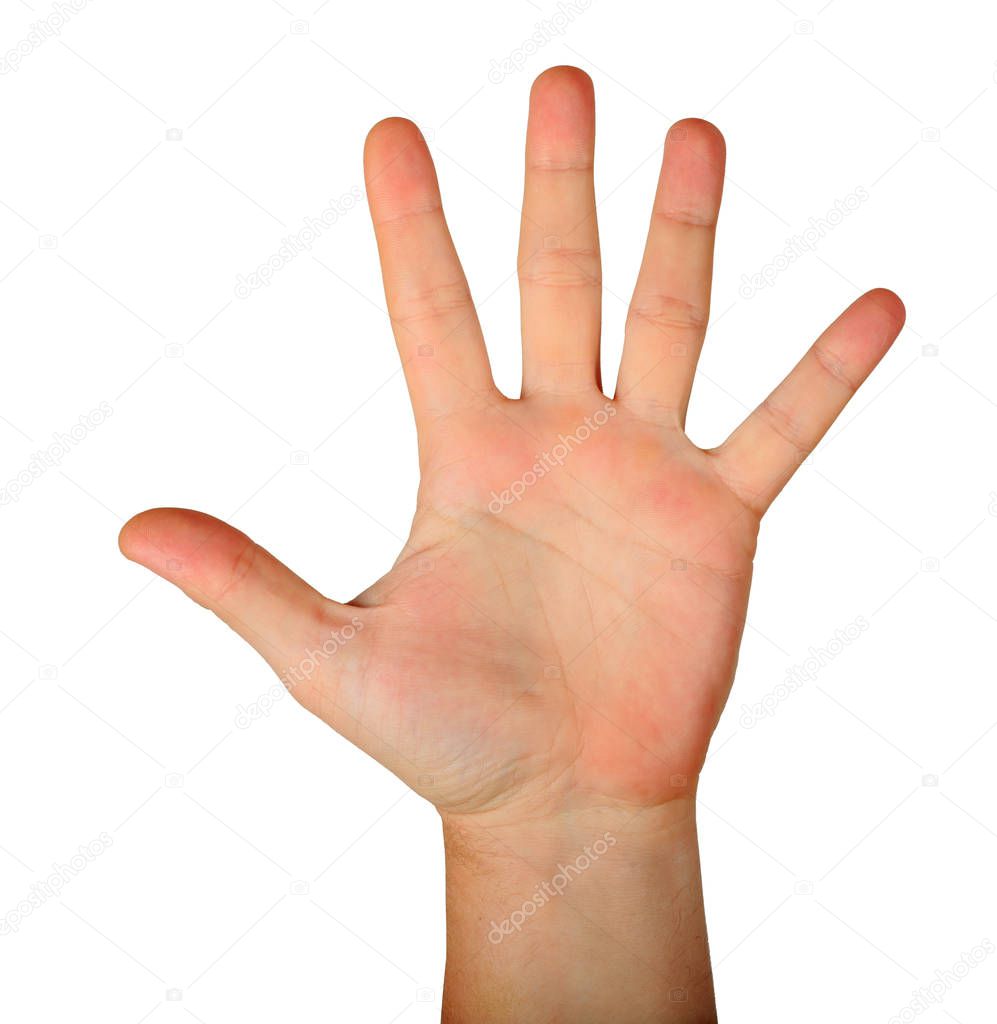 5 손가락 제스처 남성 손 오픈 팜 — 스톡 사진 © Batechenkofff #175295836