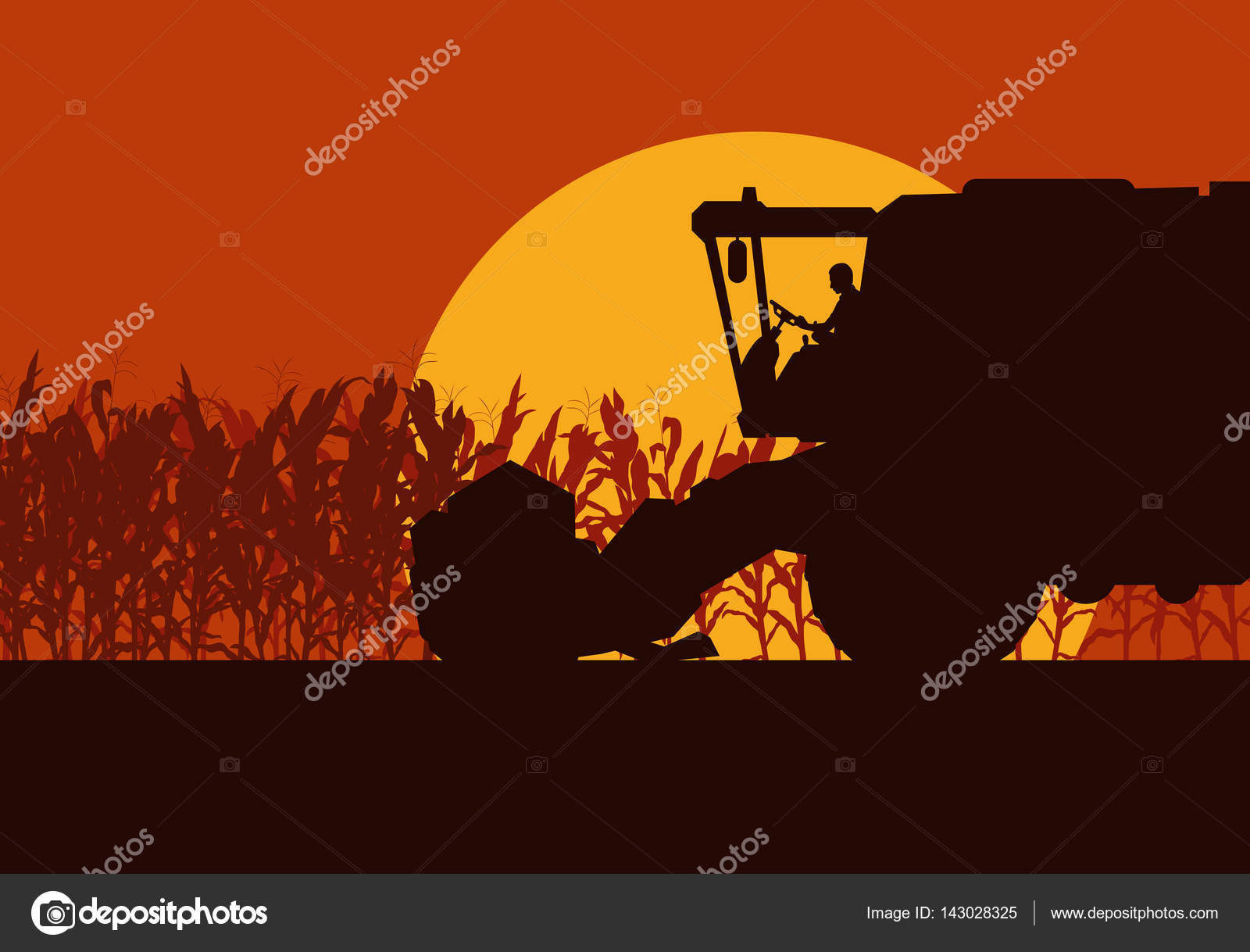Corn field with harvester evening or morning light landscape vec ...