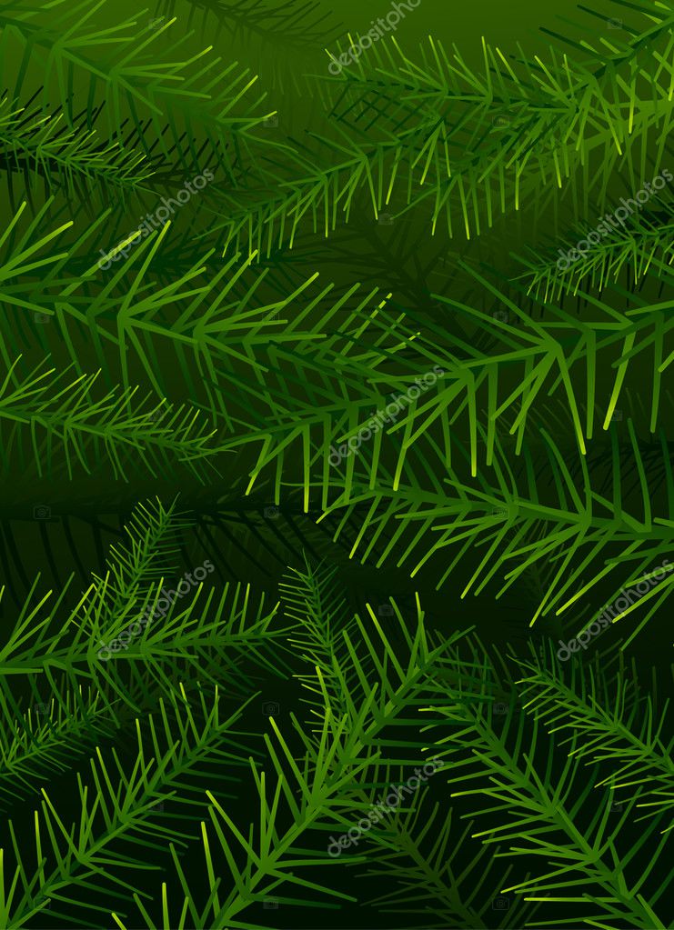 Vector árbol pino ramas fondo Vector de stock #125870132 de ©hugolacasse