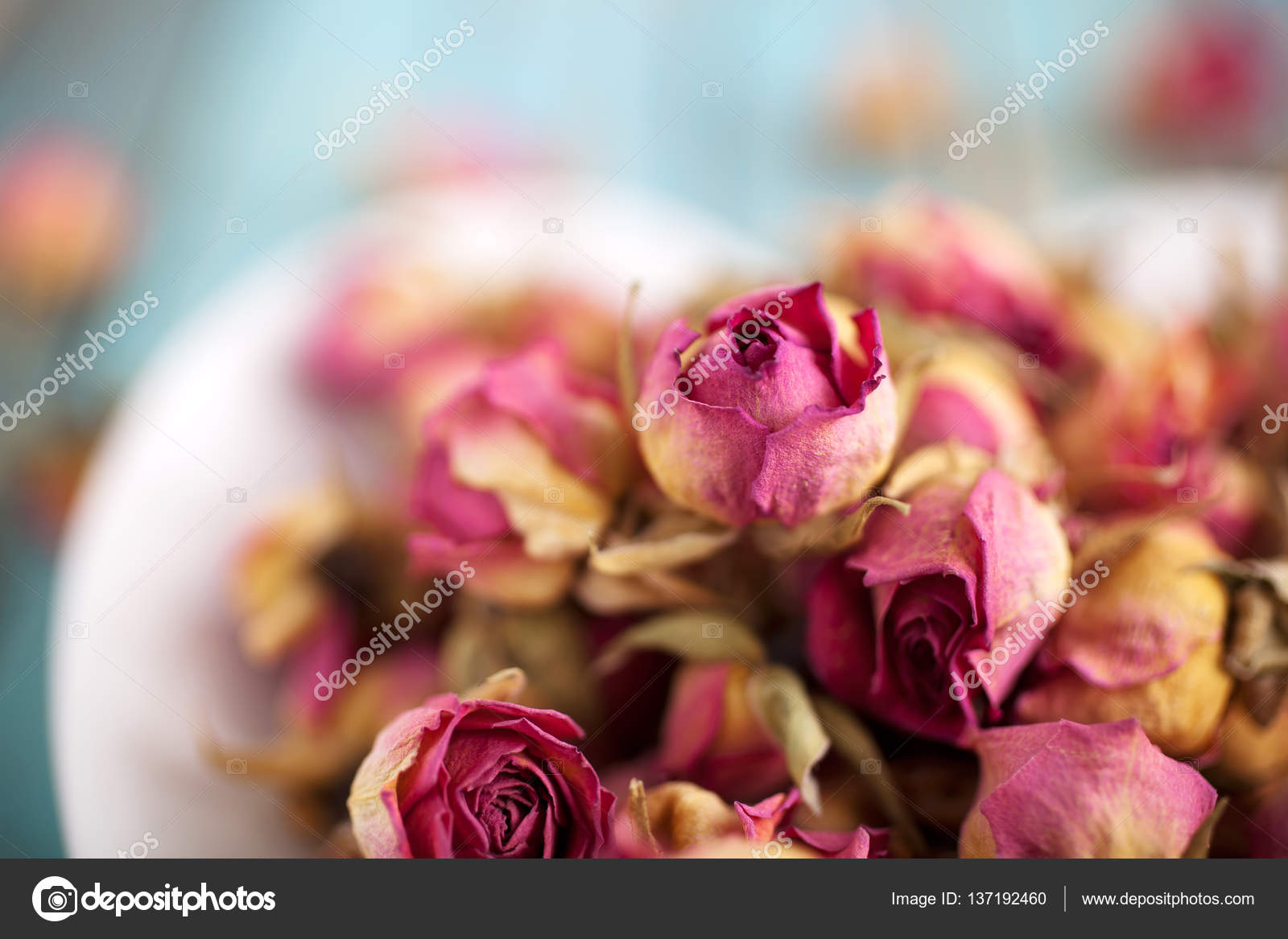Beautiful dried roses Stock Photo by ©molka 137192460