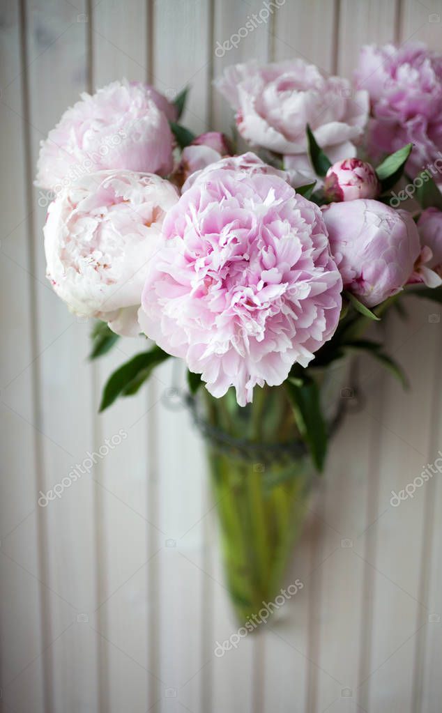 Pretty pink peonies — Stock Photo © molka #158967474