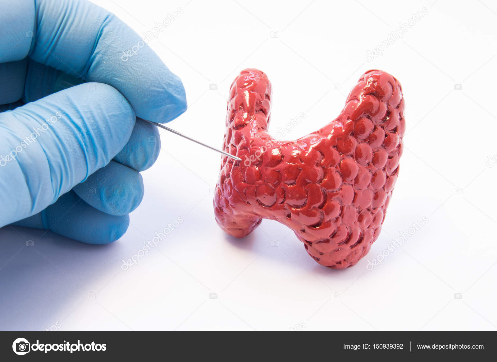 Biopsy of thyroid gland procedure. Doctor hold puncture needle in hand ...