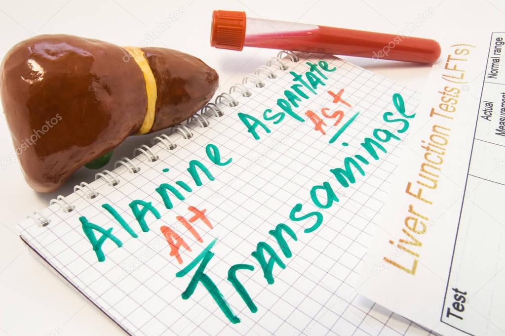 Alanina Inscrita (ALT) y Aspartato (AST) aminotransferasas, rodeadas de ...