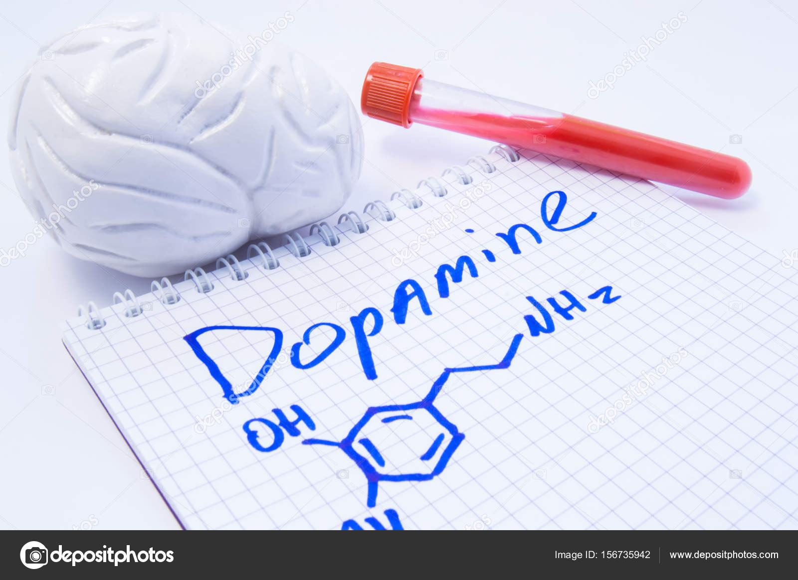 Neurotransmitter Dopamine in brain. Anatomic 3D brain model, lab test ...