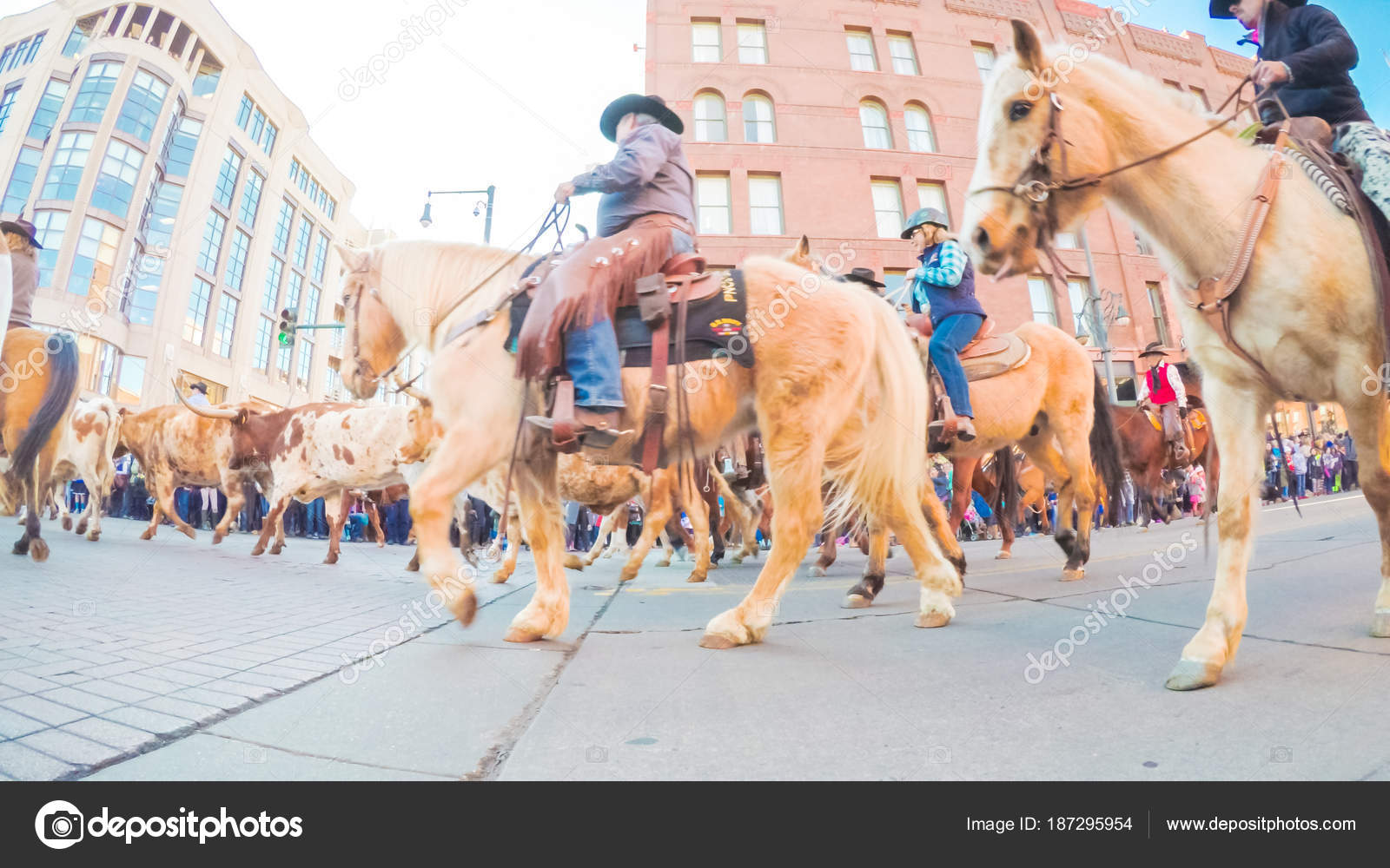 Stock Show parade – Stock Editorial Photo © urban_light #187295954