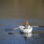 Small rowing boat on white — Stock Photo © Smileus #11915482