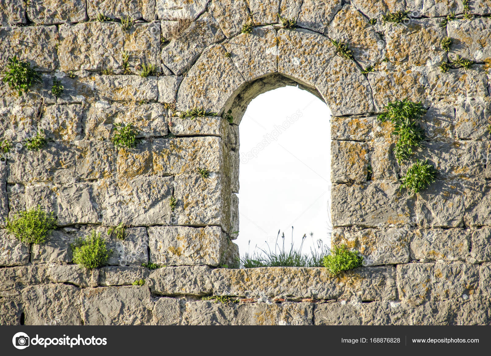 Castle Window
