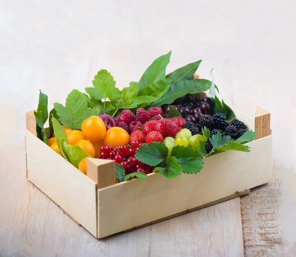 Fruits in box Stock Photos, Royalty Free Fruits in box Images ...
