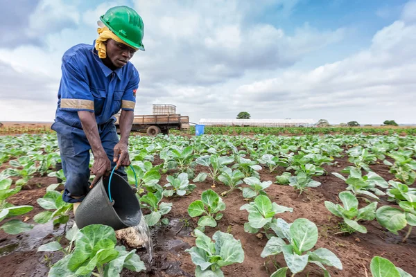 African farmer Stock Photos, Royalty Free African farmer Images ...