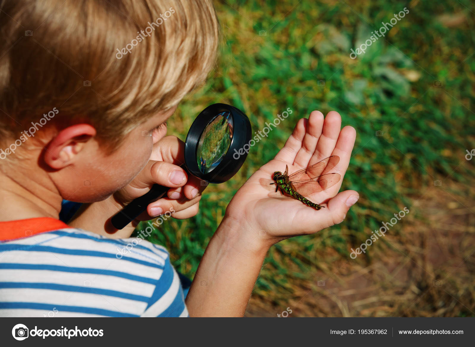 Kids learning - little boy exploring dragonfly with magnifying glass ...