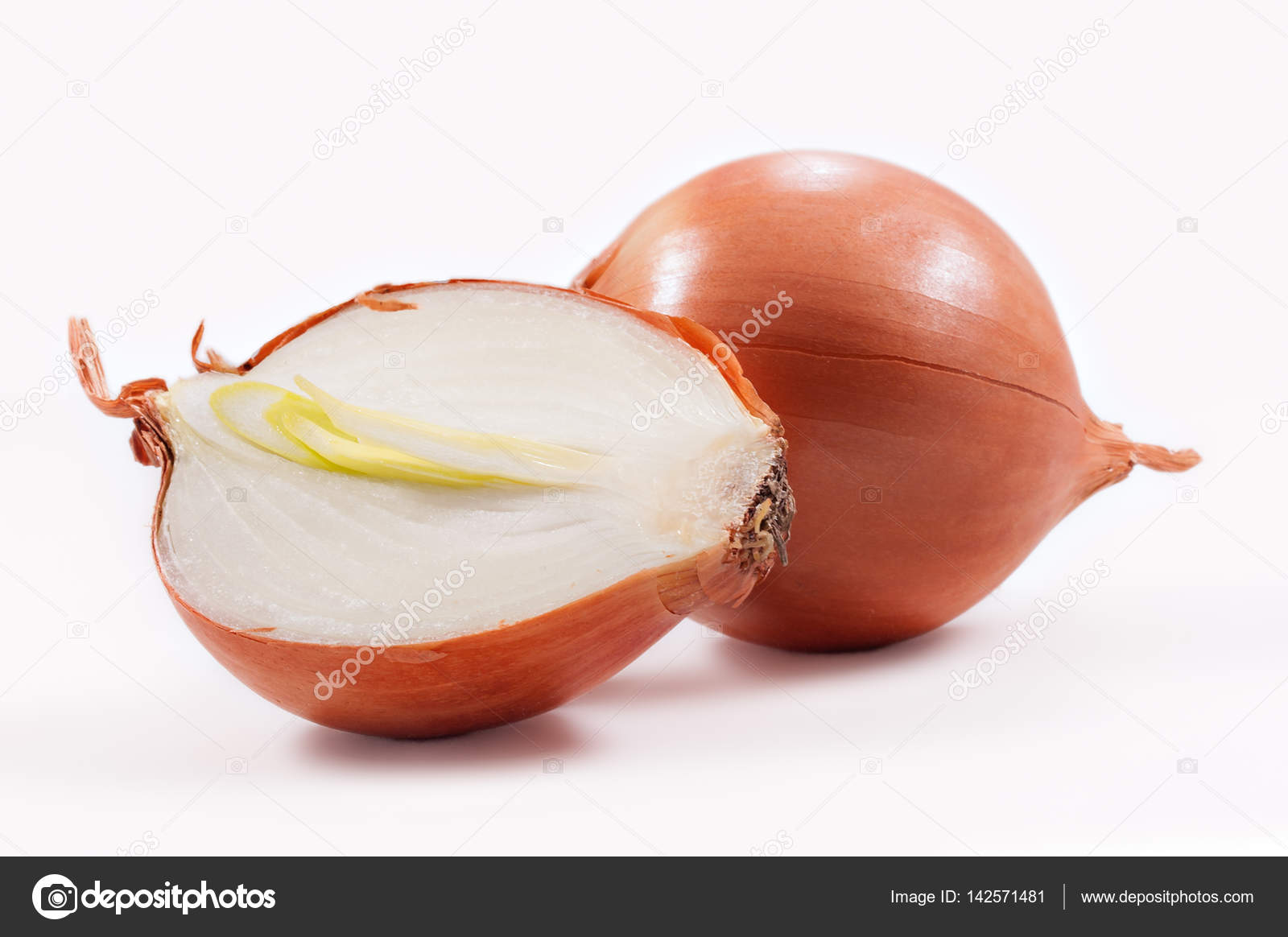 A brown onion Stock Photo by ©olexandr.lozovyi@gmail.com 142571481